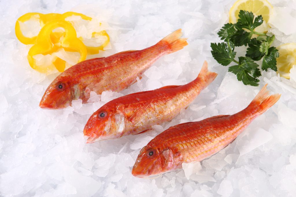 Red Mullet – GAIA - Frozen Food